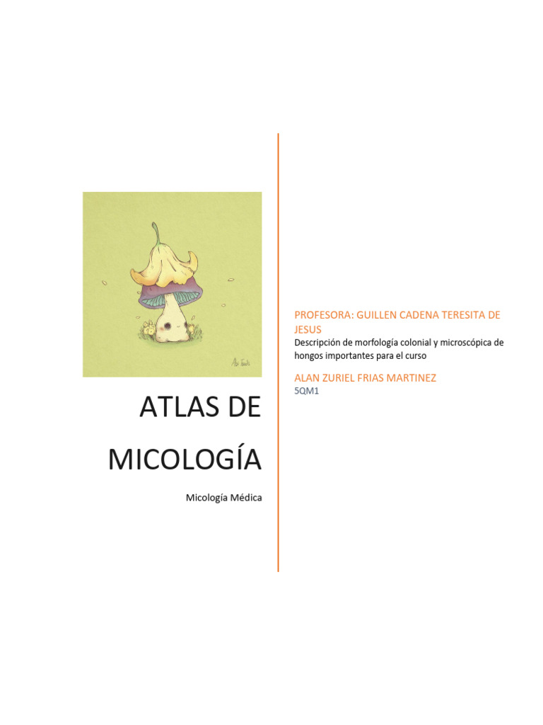 Atlas de Micologia Corregido | PDF | Hongo | Aspergilo