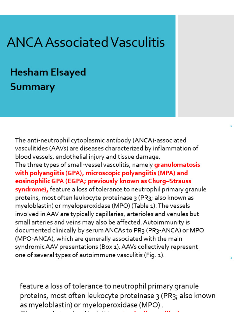 ANCA Associated Vasculitis | PDF | Epidemiology | Causes Of Death