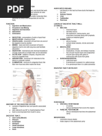 Digestive System Physiology | PDF | Digestion | Stomach