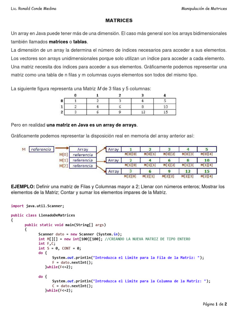 Matrices | PDF | Programación de computadoras | Informática