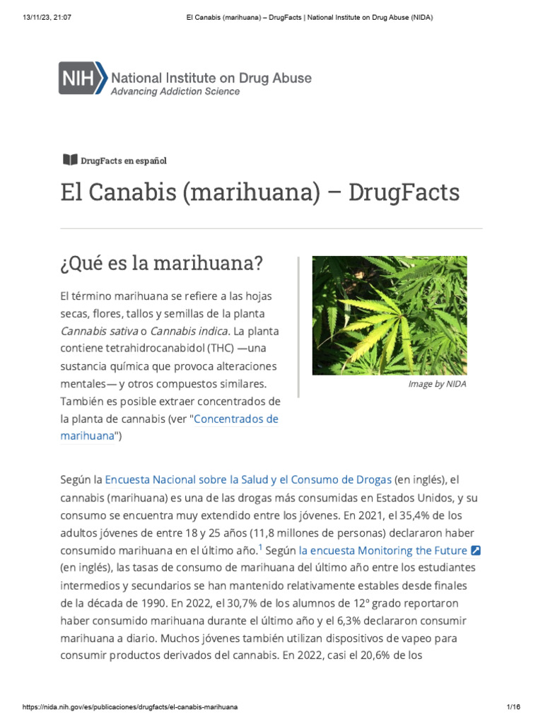 El Canabis (Marihuana) - DrugFacts - National Institute On Drug Abuse ... El Canabis (Marihuana) - DrugFacts - National Institute On Drug Abuse ...