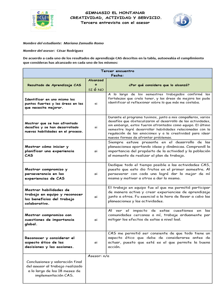 Tercera Entrevista Con El Asesor | PDF | Aprendizaje | Creatividad