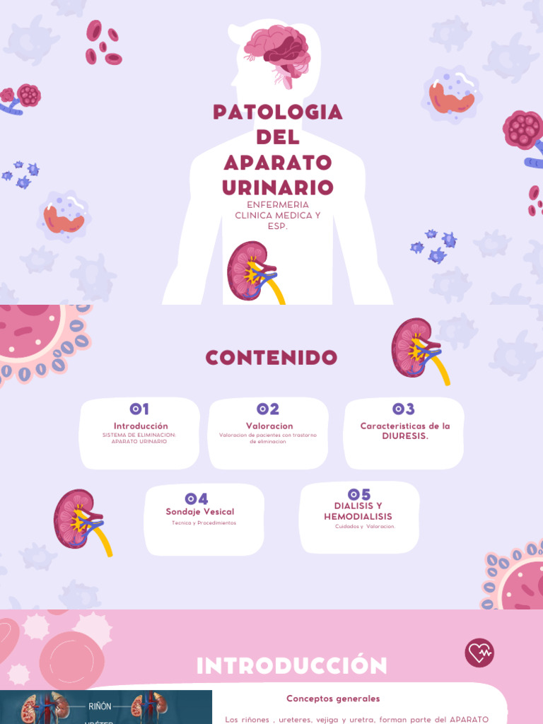 Patologia Del Aparato Urinario | PDF | Sistema urinario | Riñón