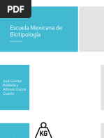 Anillo de Contusión y de Enjugamiento | PDF | Mecanica clasica | Cambio