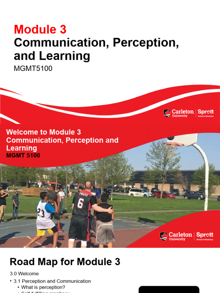Communication and Perception Insights | PDF | Communication | Nonverbal ...