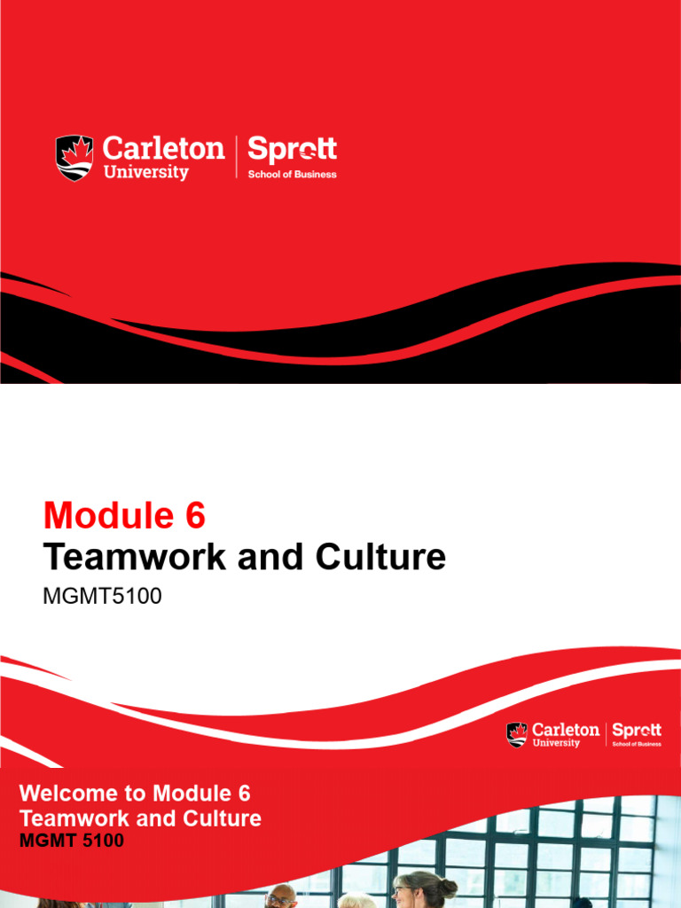 Week 6 - Module 6.1 Teamwork | PDF | Group Cohesiveness | Creativity