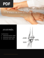 Exploración de Codo | PDF | Codo | Articulación