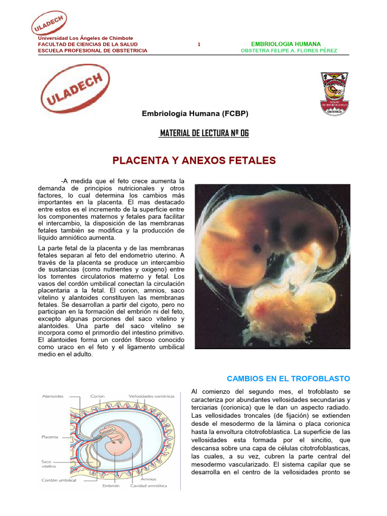 _HUMANASESION_06PLACENTA_Y_MEMBRANAS_FETALES.pdf | PDF | Placenta | Feto