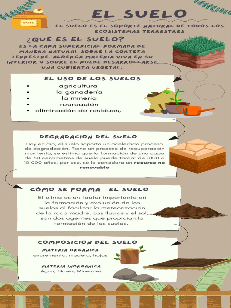 Infografia Acerca Del Suelo | PDF