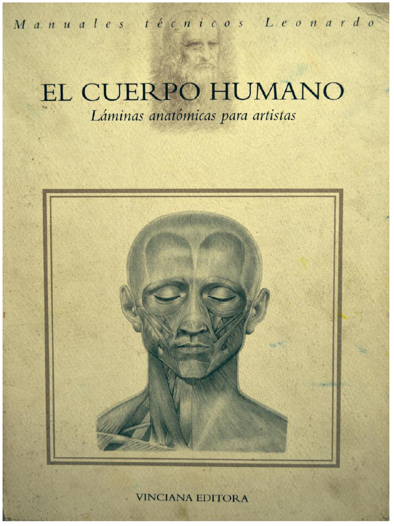 Anatomia Para Artistas Pdf Free Pdf