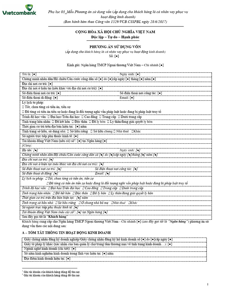 Phuong An Su Dung Von Vay Phuc Vu Hoat Dong Kinh Doanh | PDF