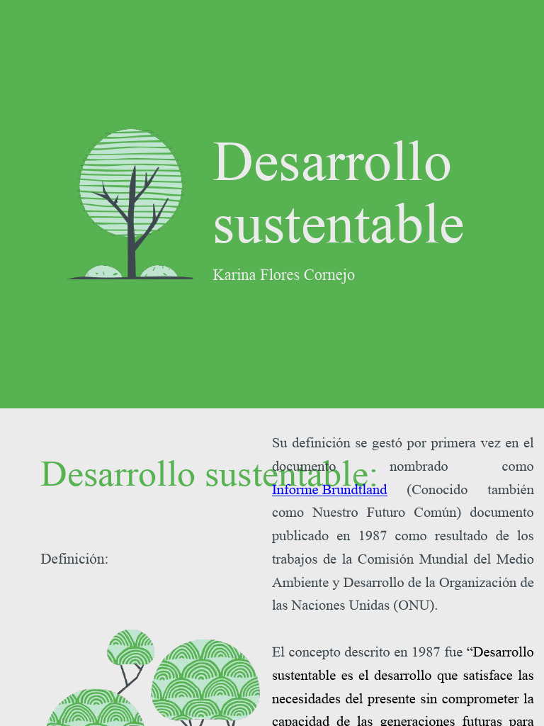 Desarrollo Sustentable | PDF | Sustentabilidad | Desarrollo sostenible
