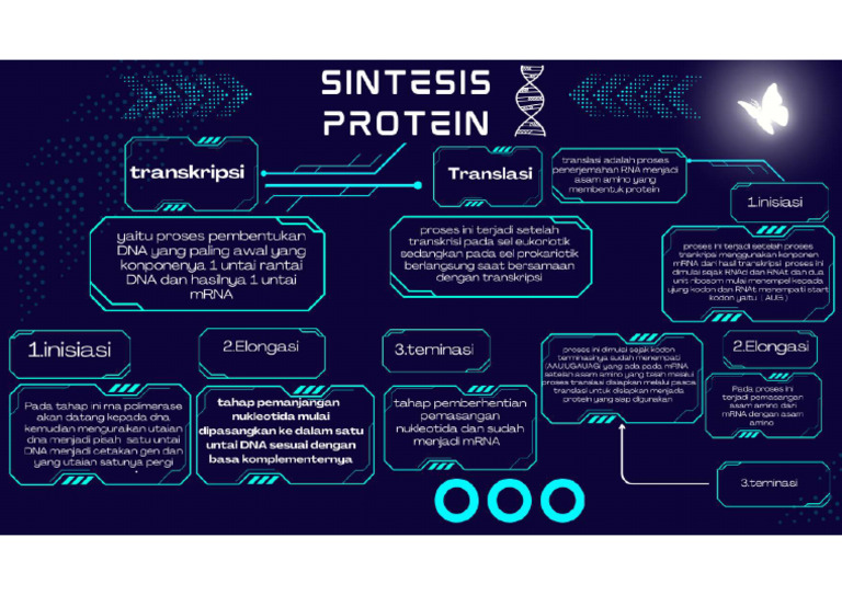 Mind Map Anatomi Sintesis Protein | PDF