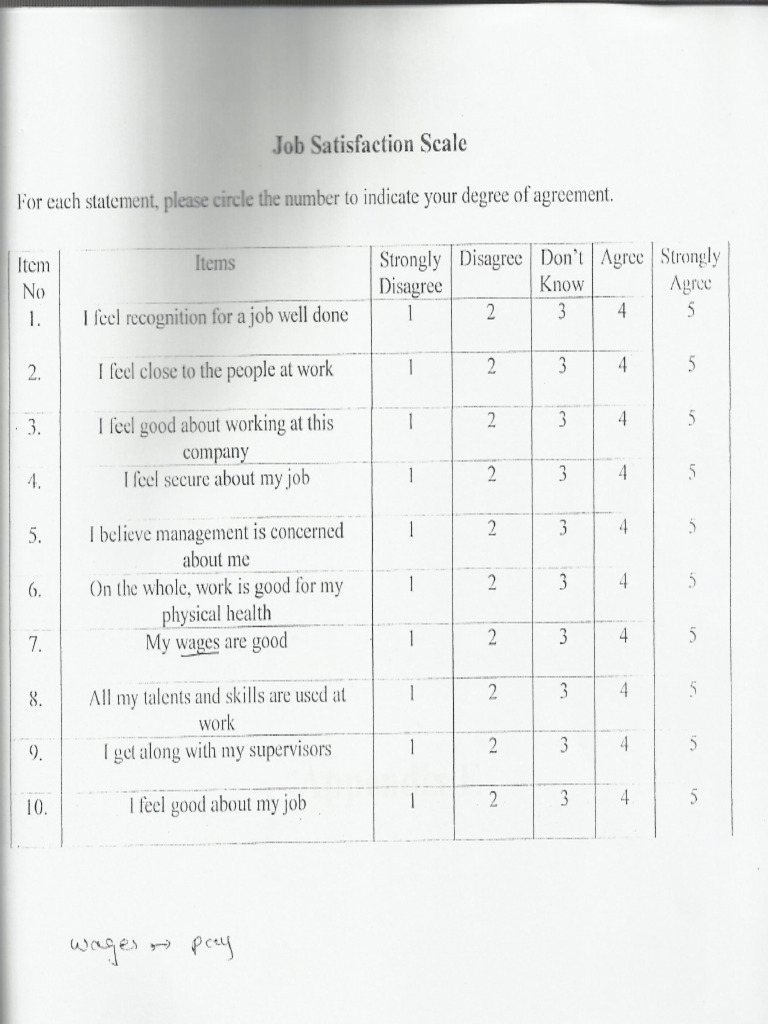 Job Satisfaction Scale | PDF