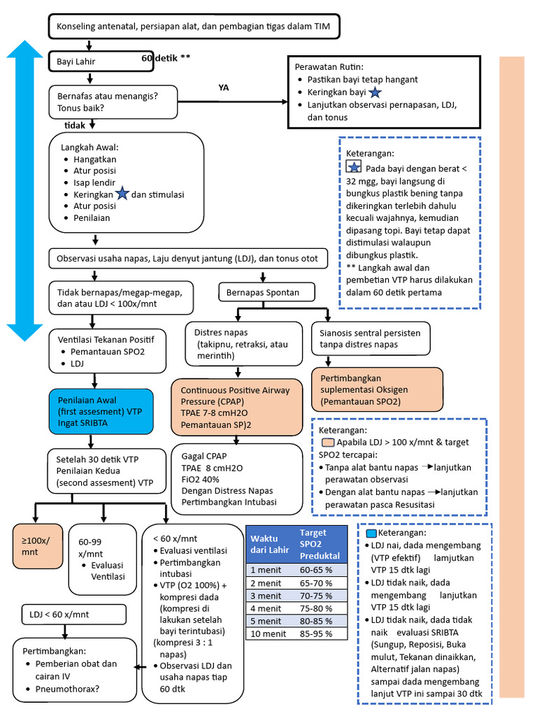 ALOGARITMA, STABLE dan ACCEPT (GADARMATNEO) | PDF