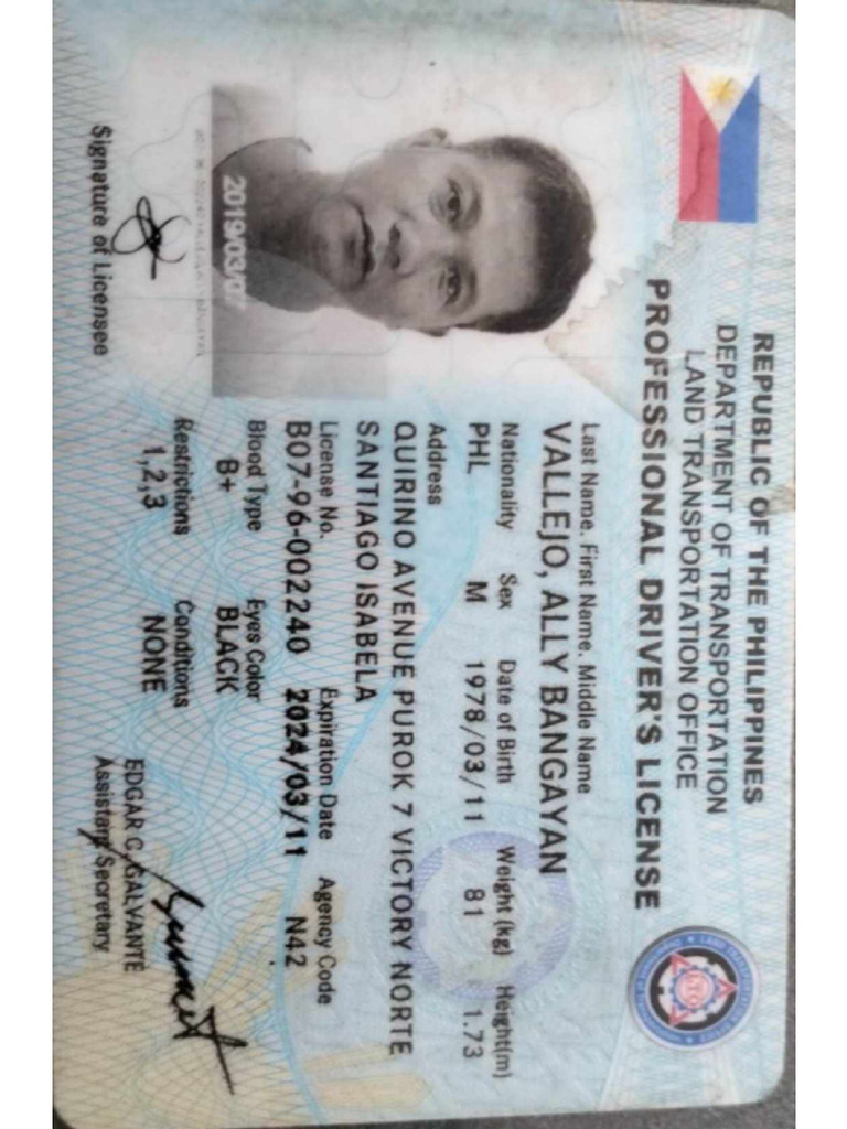 Drivers License | PDF