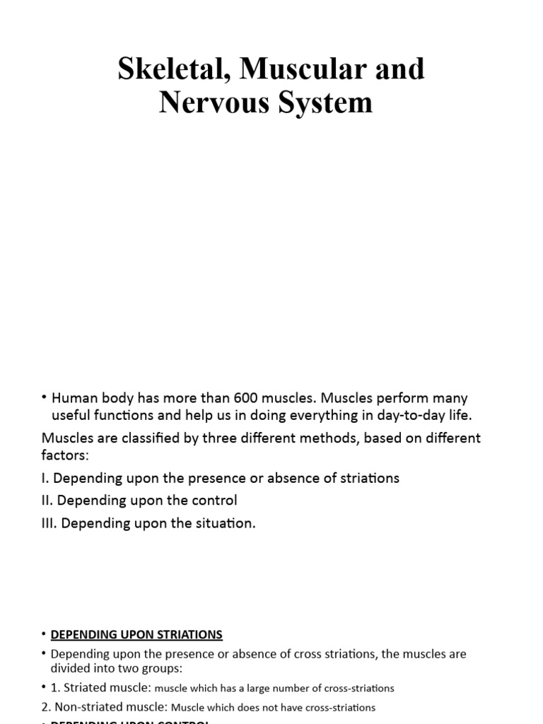 Skeletol, Muscle Nervous System-1 | PDF | Neuron | Axon