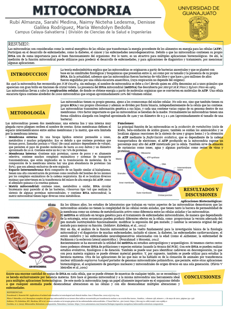 Poster MITOCONDRIA | PDF | Mitocondria | Biología Molecular