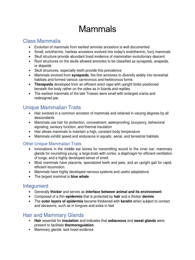 Mammals | PDF | Mammals | Uterus