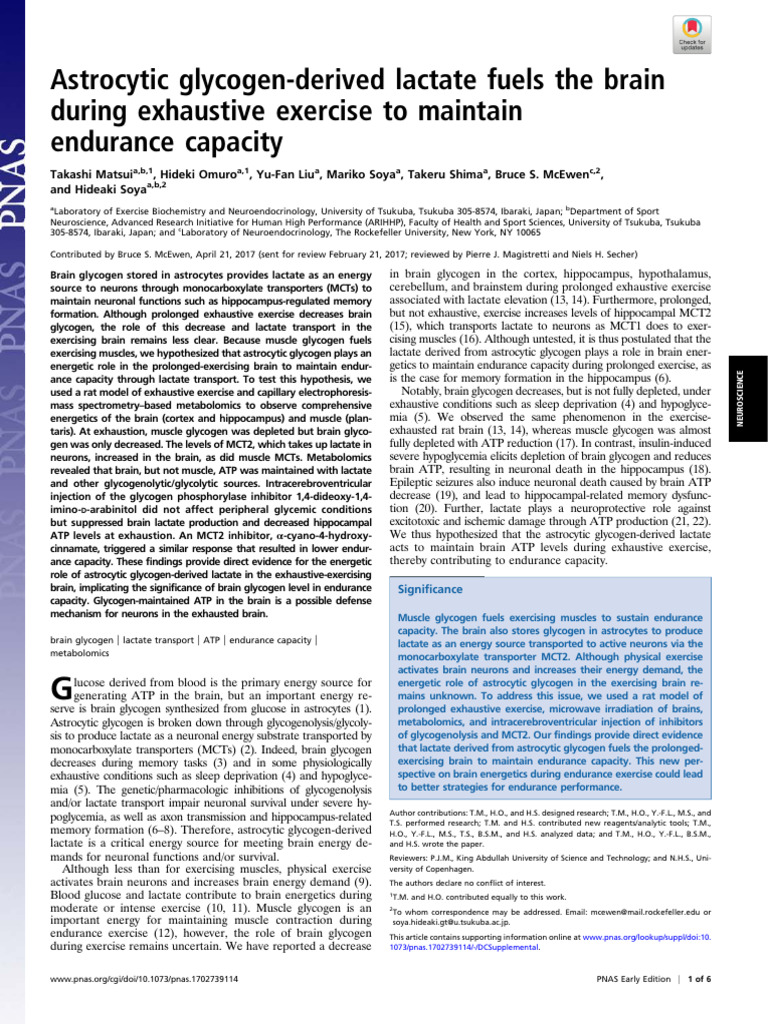 Astrocytic Glycogen-Derived Lactate Fuels The Brain During Exhaustive ...
