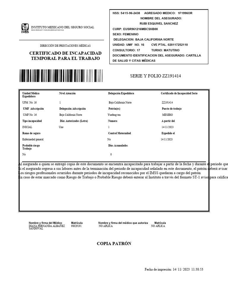 formato-incapacidad-imss-editable-word | PDF | Ciencias de la Salud ...
