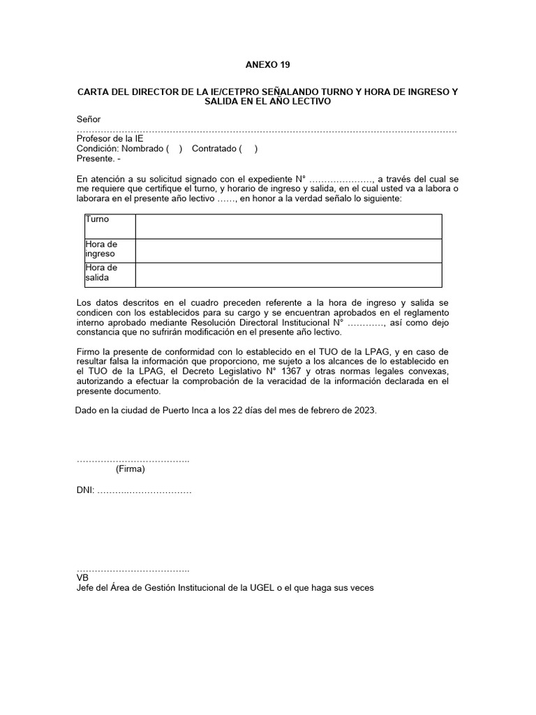 Instrucciones para Anexo 19 Docente 2025 | PDF