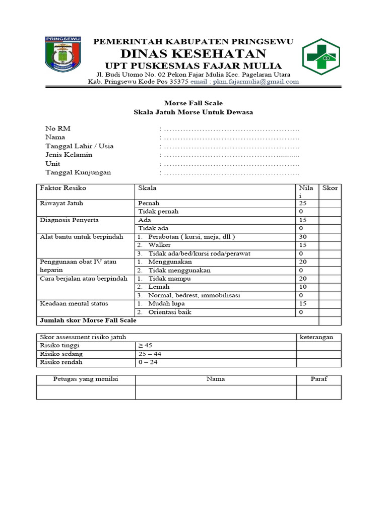 Morse Fall Scale | PDF