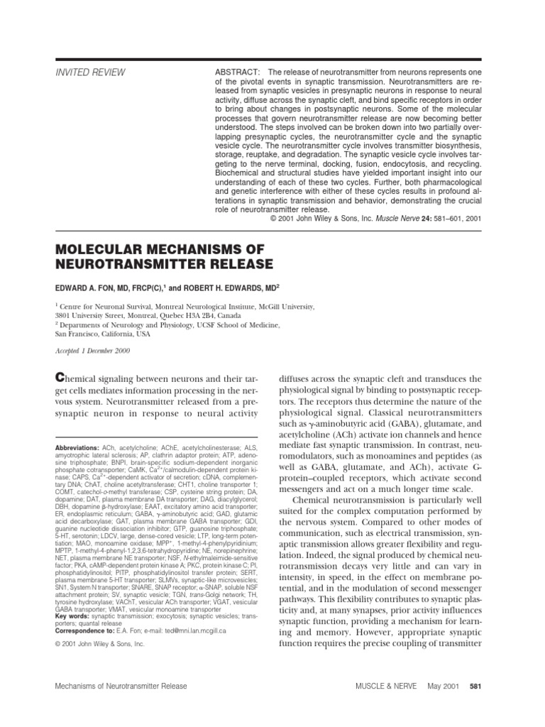Molecular Mechanisms of Neurotransmitter Release | PDF | Neurotransmitter | Chemical Synapse