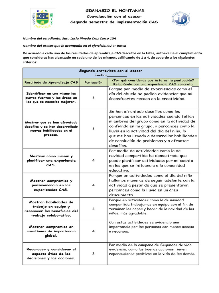 Segunda Entrevista Con El Asesor 2022 | PDF | Creatividad | Cognición