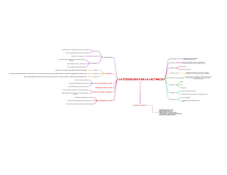 Mapa Mental | PDF | Pecho | Leche