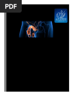 Anatomía y Funciones del Escroto | PDF | Testículo | Artería