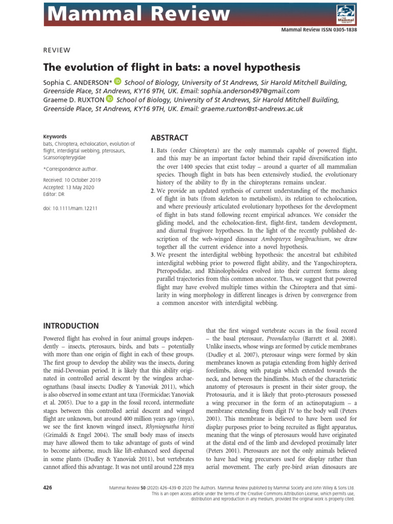 09 The Evolution of Flight in Bats A Novel Hypothesis | PDF | Bat | Mammals