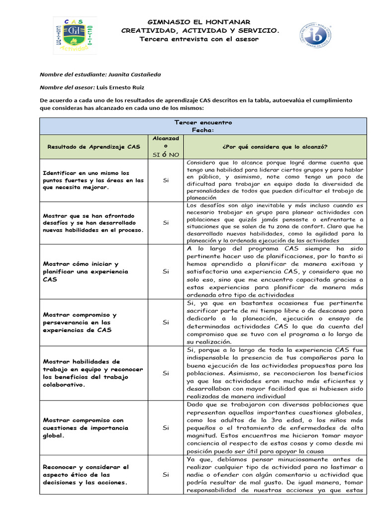 Tercera Entrevista Con El Asesor | PDF | Planificación | Creatividad