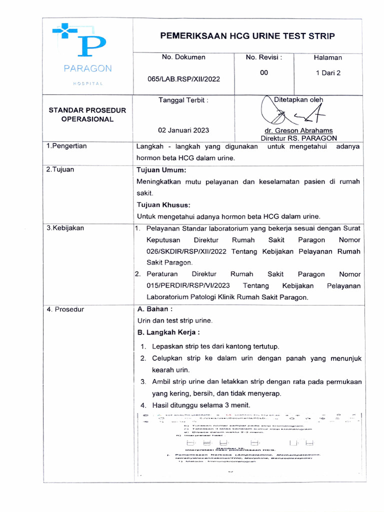 Pemeriksaan HCG Urine Test Strip | PDF