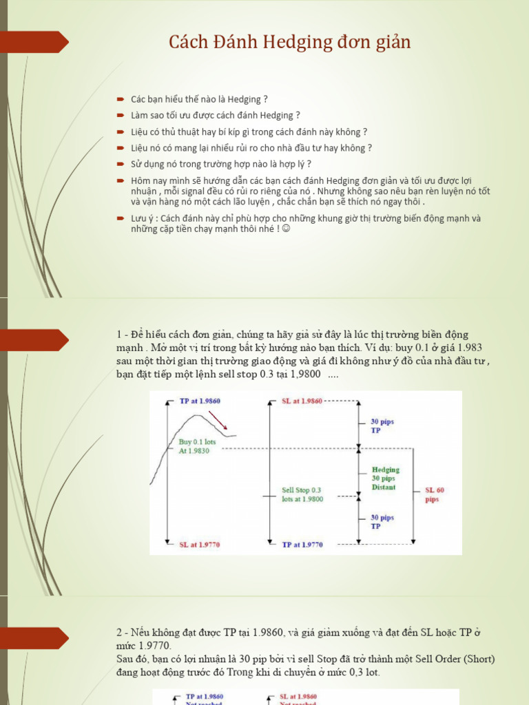 Hedging | PDF