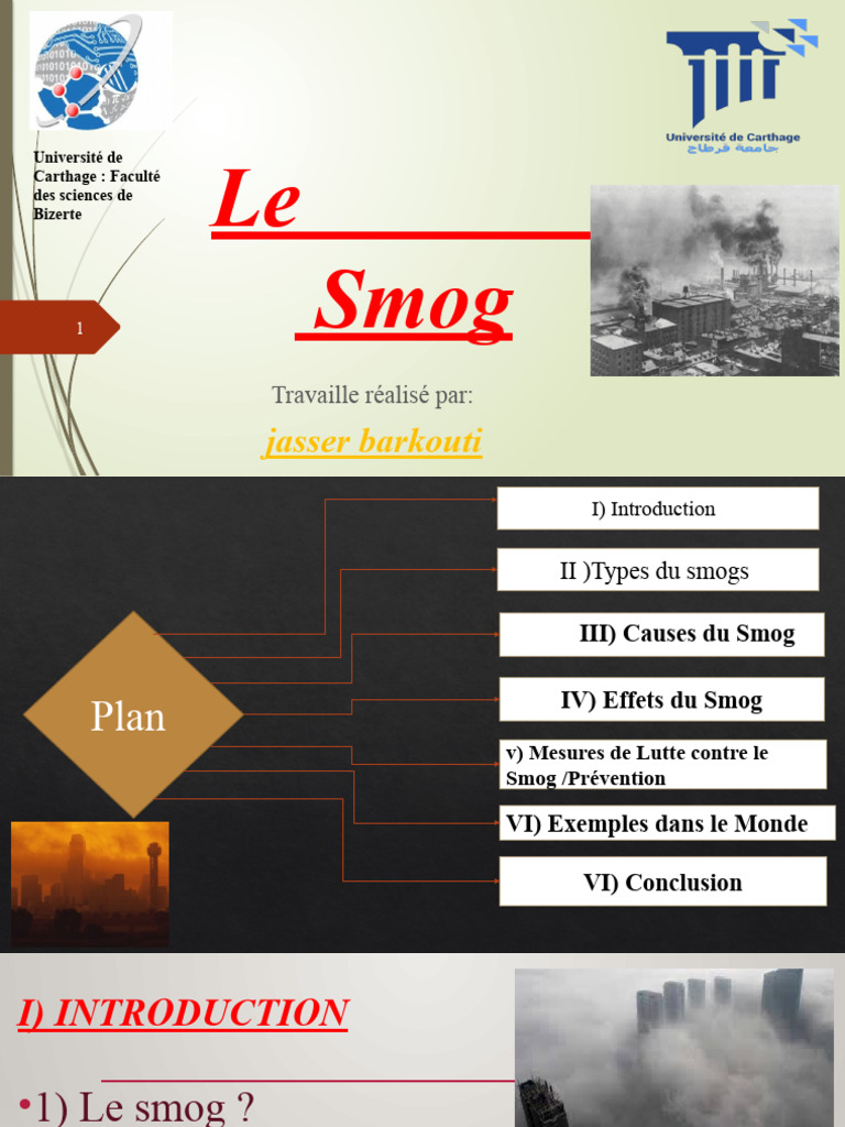 Le Smog | PDF | Smog | Pollution de l'air