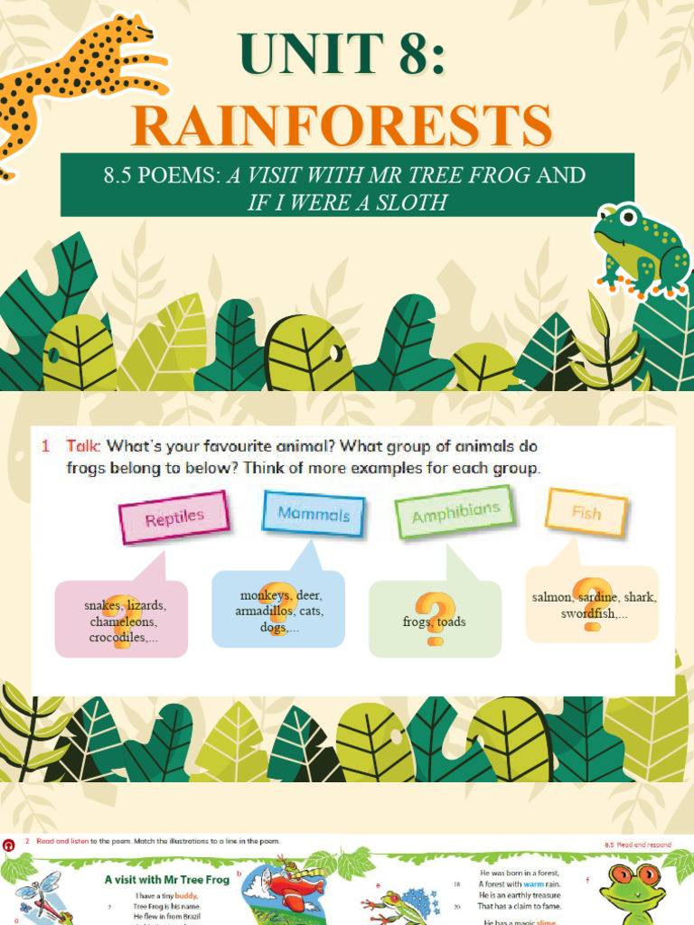 Unit 8: Rainforests | PDF | Home & Garden