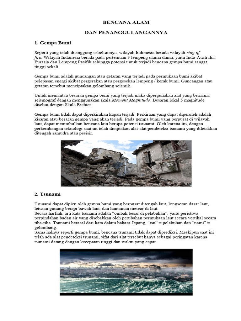 Bencana Alam | PDF