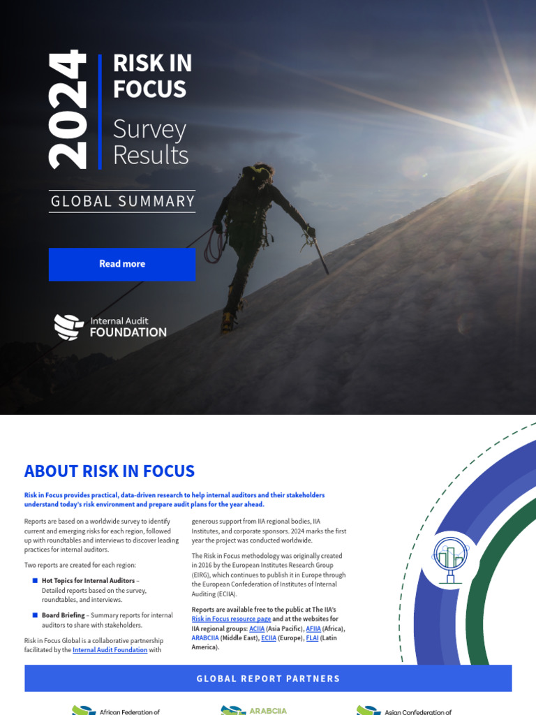 Risk in Focus 2024 | PDF | Internal Audit | Audit