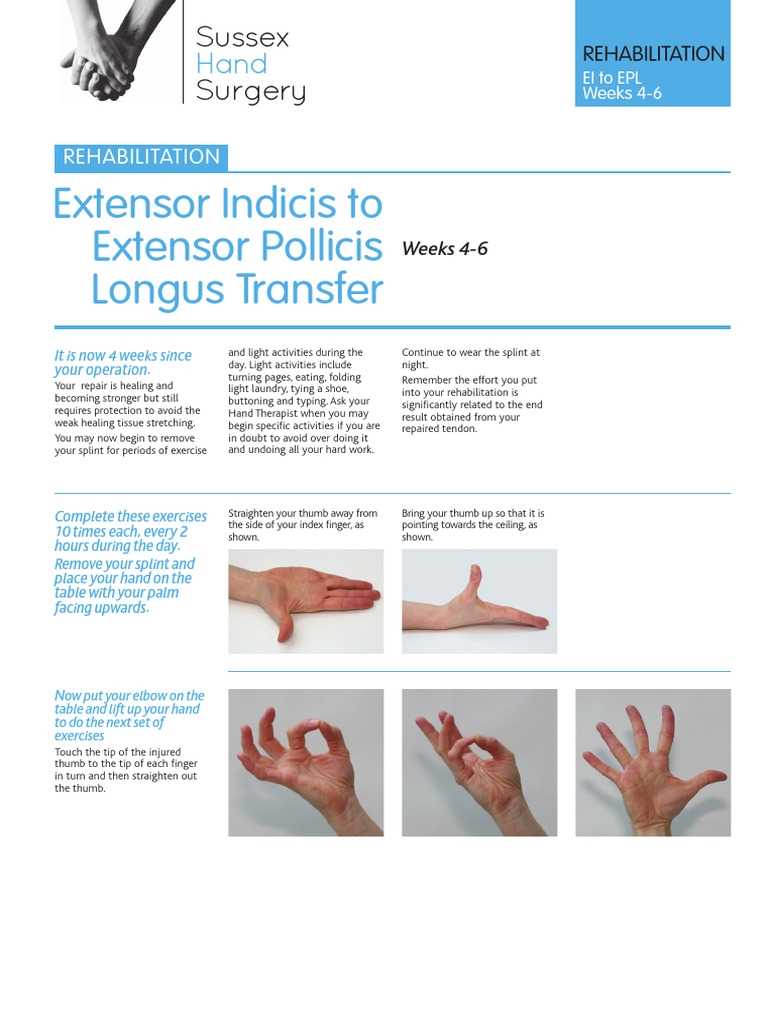 EI to EPL transfer Weeks 4 to 6 | PDF | Hand | Thumb