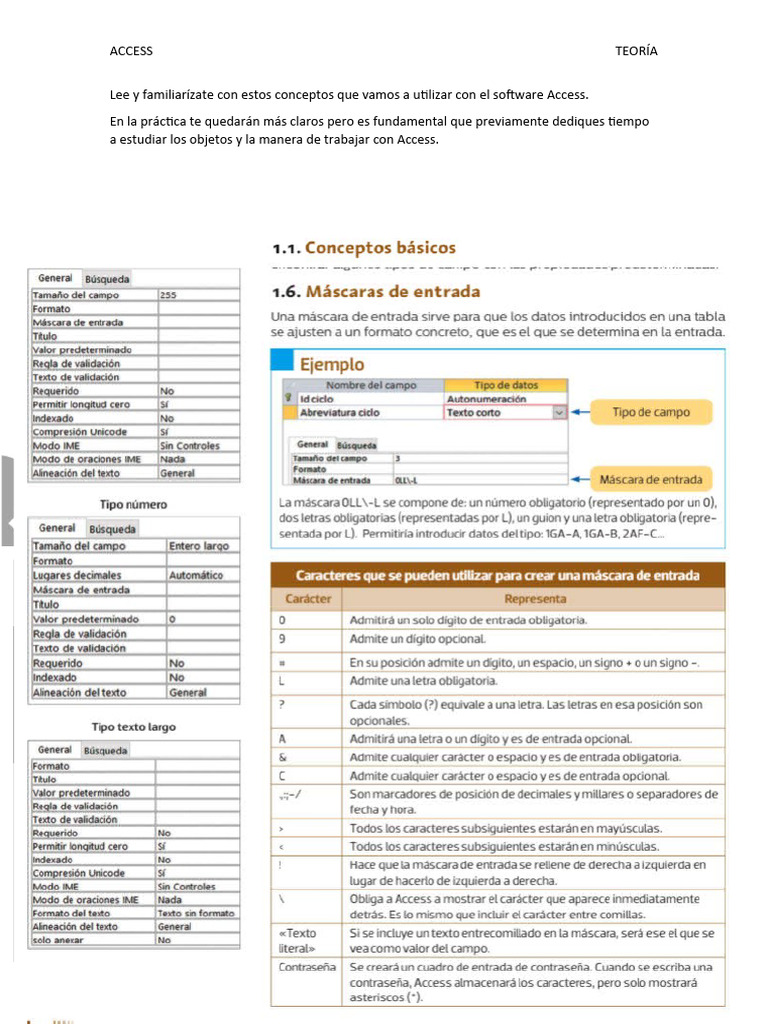 Access I Teoría | PDF