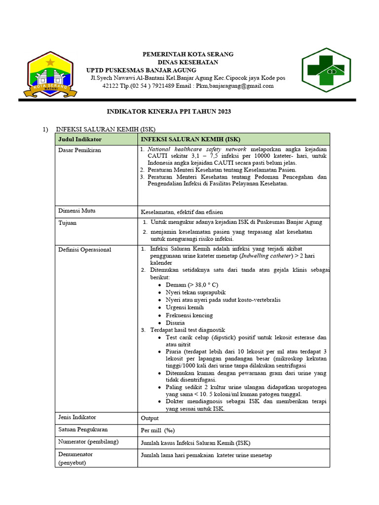 INDIKATOR KINERJA PPI - Bundles | PDF