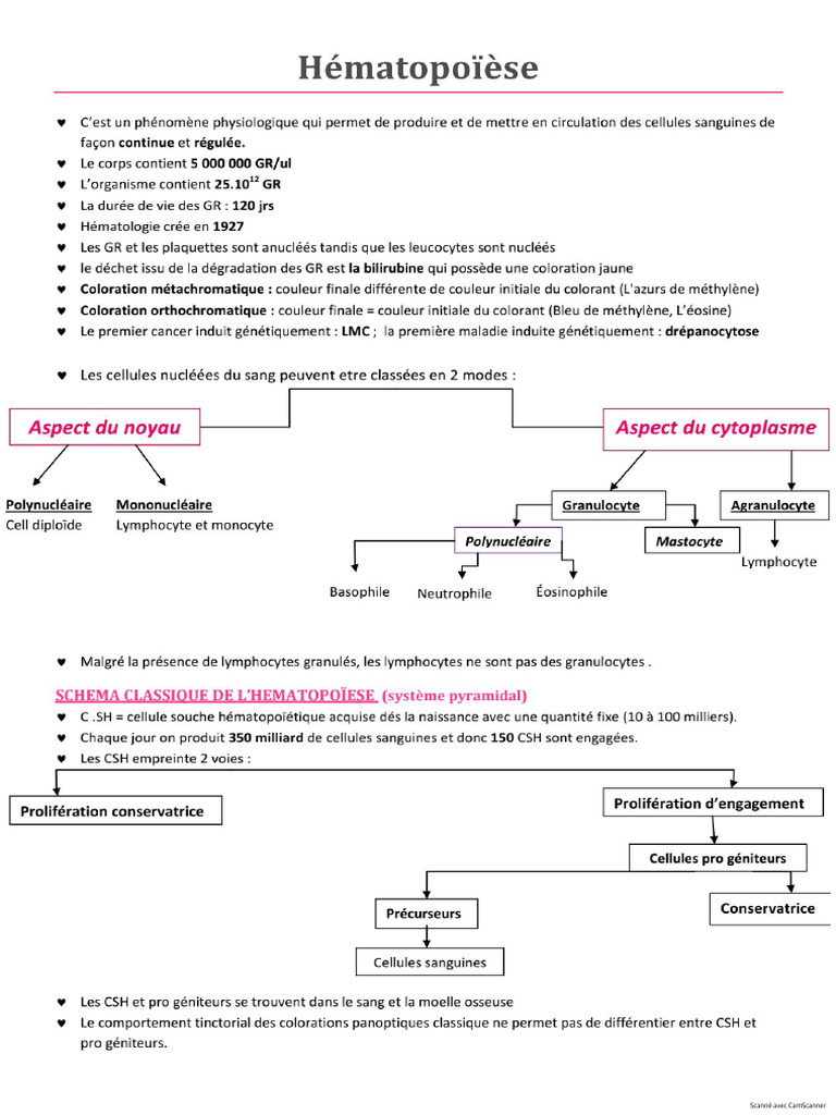 Hémato v1 (あや) | PDF