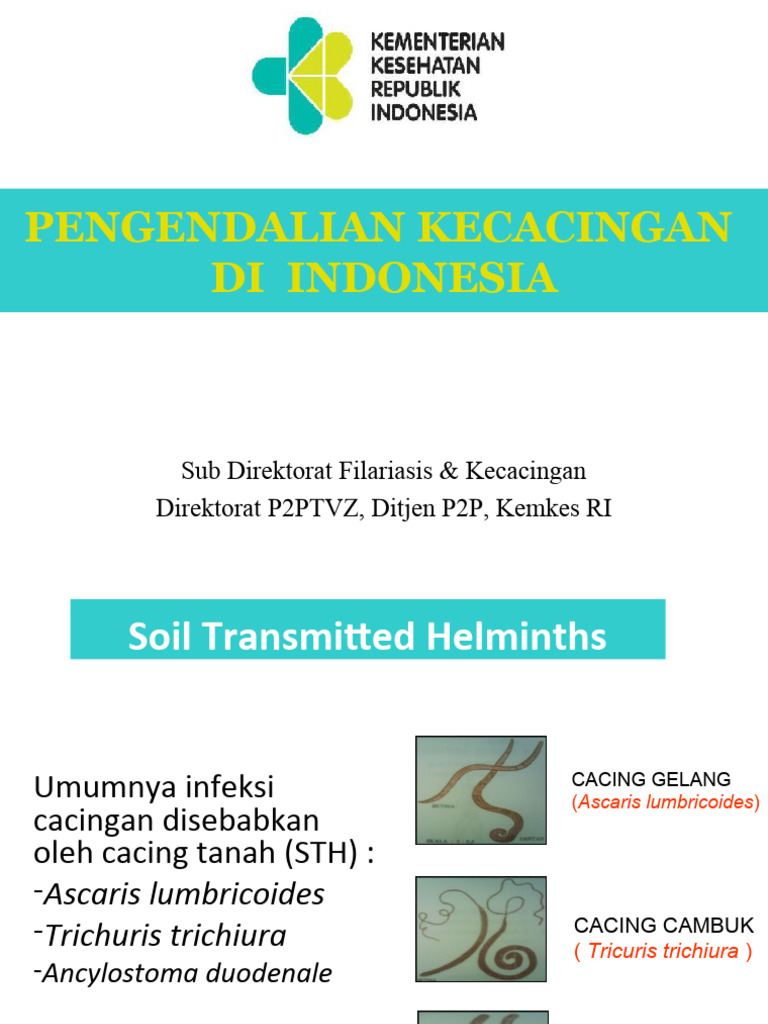 DKI - Kebijakan Cacingan Di Indonesia | PDF