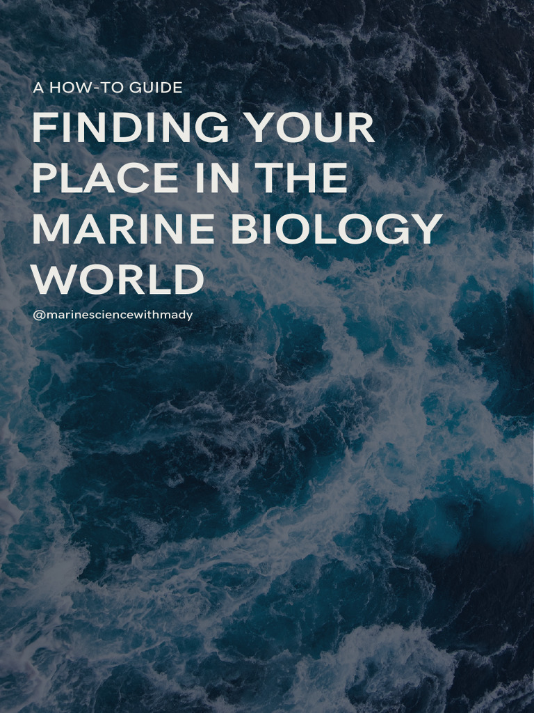 Finding Your Place in The Marine Biology World - Marine Science With ...