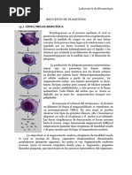 Proteus Ox-19 y Rickettsiosis: Guía Clínica | PDF | Organismos ...