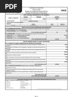 2025_NLE_BPE_SOCE_FORM_Page1 | PDF | Political Events | Elections