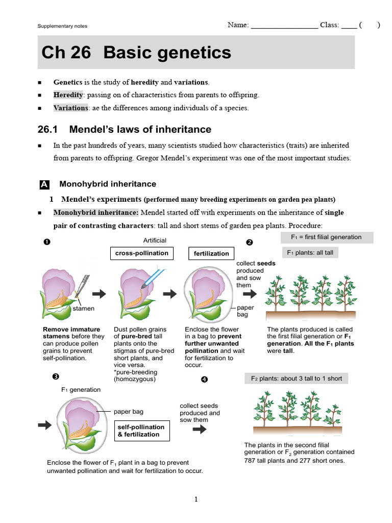 Biology On Basic Genetics | Download Free PDF | Dominance (Genetics) | Genotype