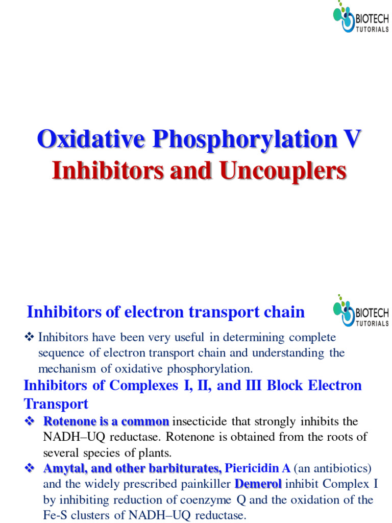 Oxidative Phosphorylation V Inhibitors and Uncouplers | PDF | Electron ...
