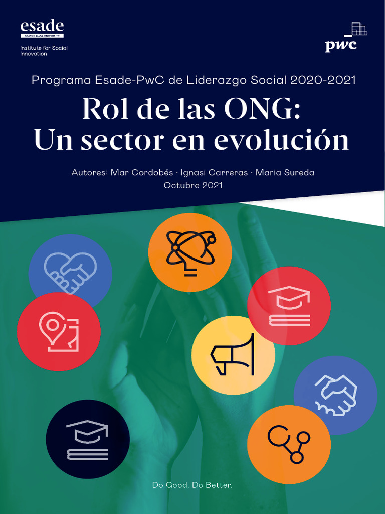 El Rol de Las Ong Un Sector en Evolucion | Descargar gratis PDF ...